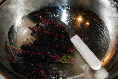 Ten Swamp Dogies II: POKEBERRY